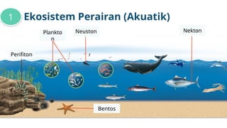 KEANEKARAGAMAN HAYATI IPA BIOLOGI KELAS X.pptx