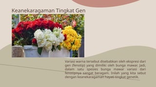 KEANEKARAGAMAN HAYATI konsep dasar tingkat keanekaragaman.pptx