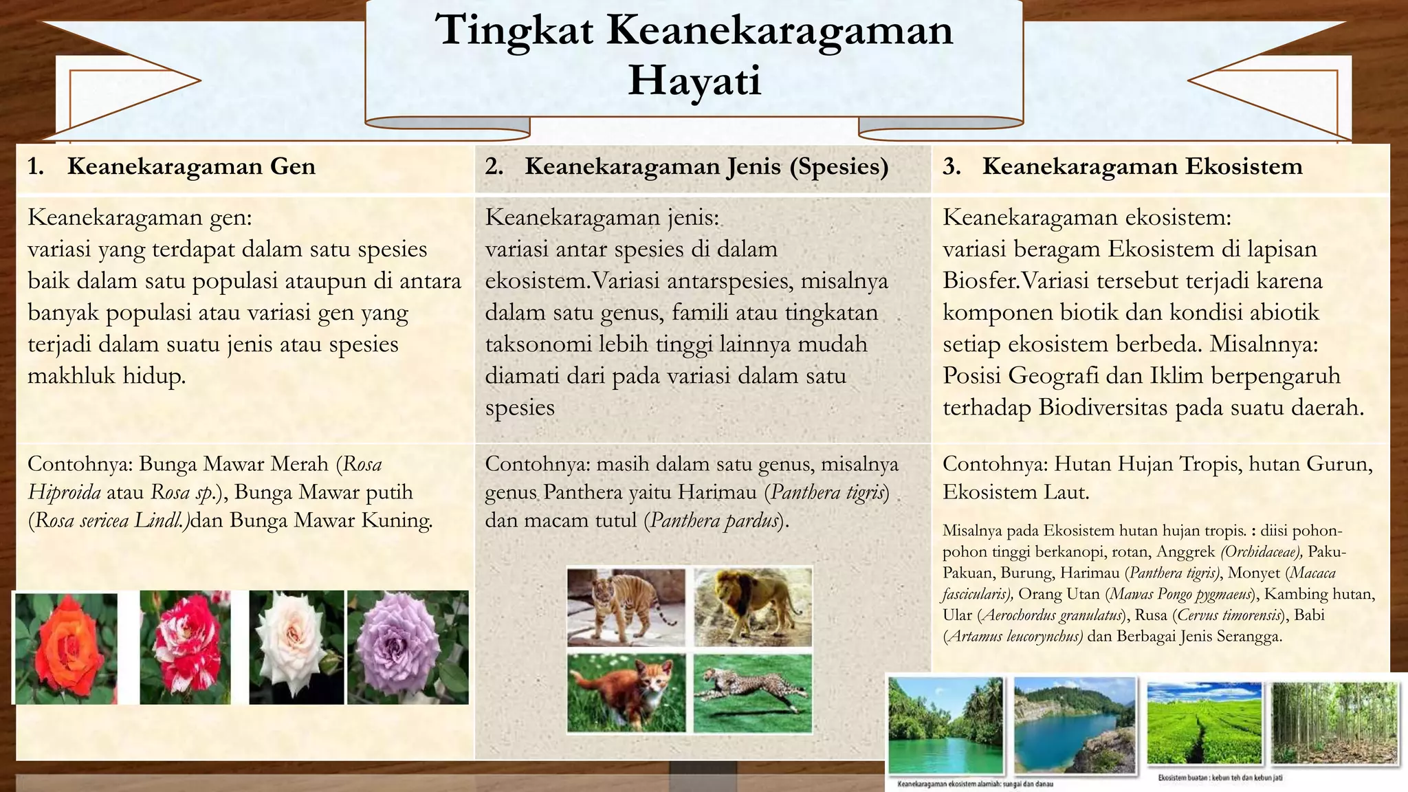 Keanekaragaman Hayati | PPTX