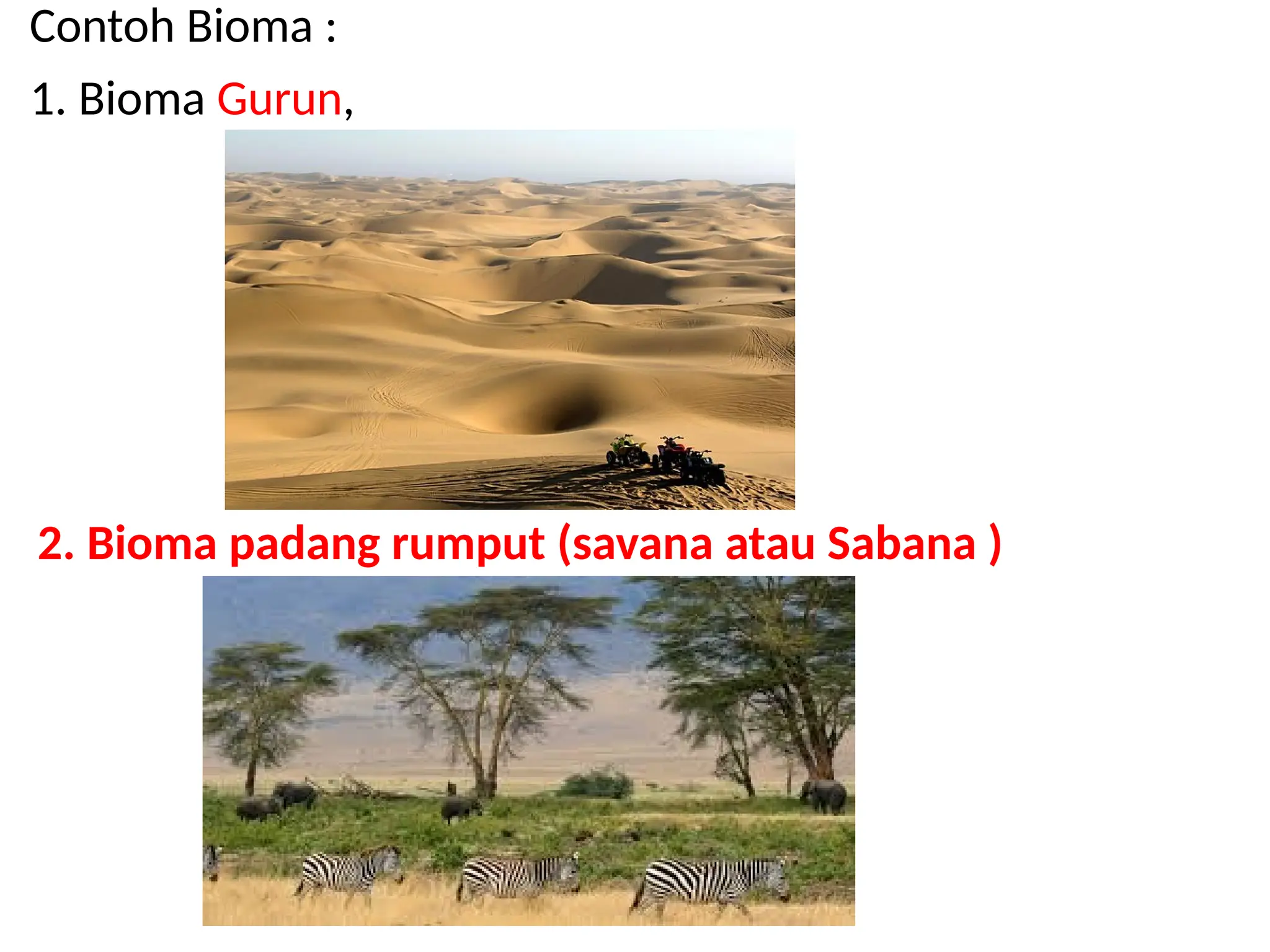 keanekaragaman hayati tugas sekolah madrasah.ppt