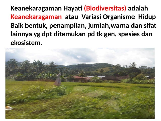 keanekaragaman hayati tugas sekolah madrasah.ppt | Free Download