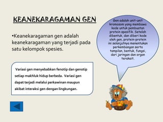 Keanekaragaman hayati dhya | PPT