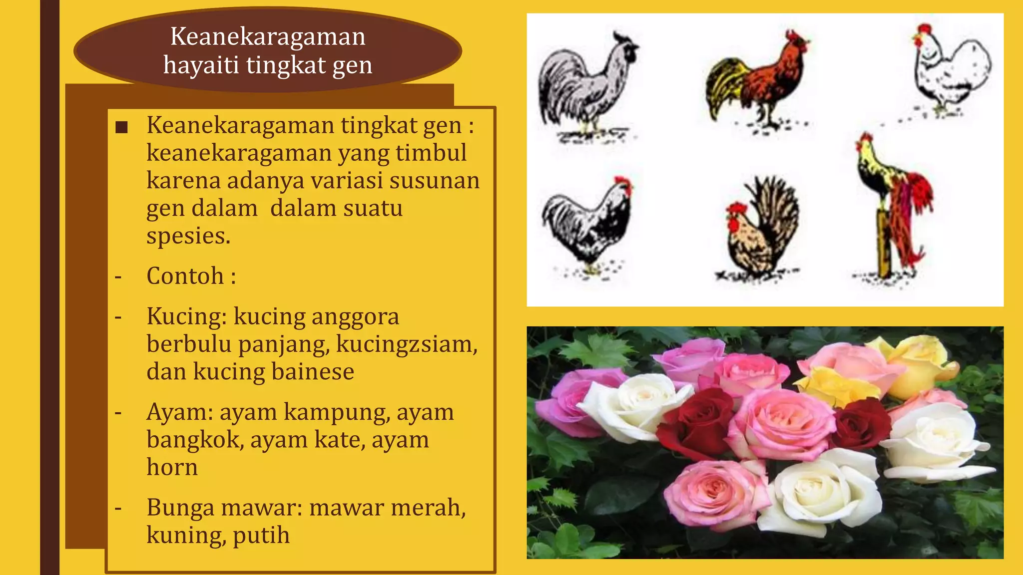 Keanekaragaman Hayati di Indonesia.pptx