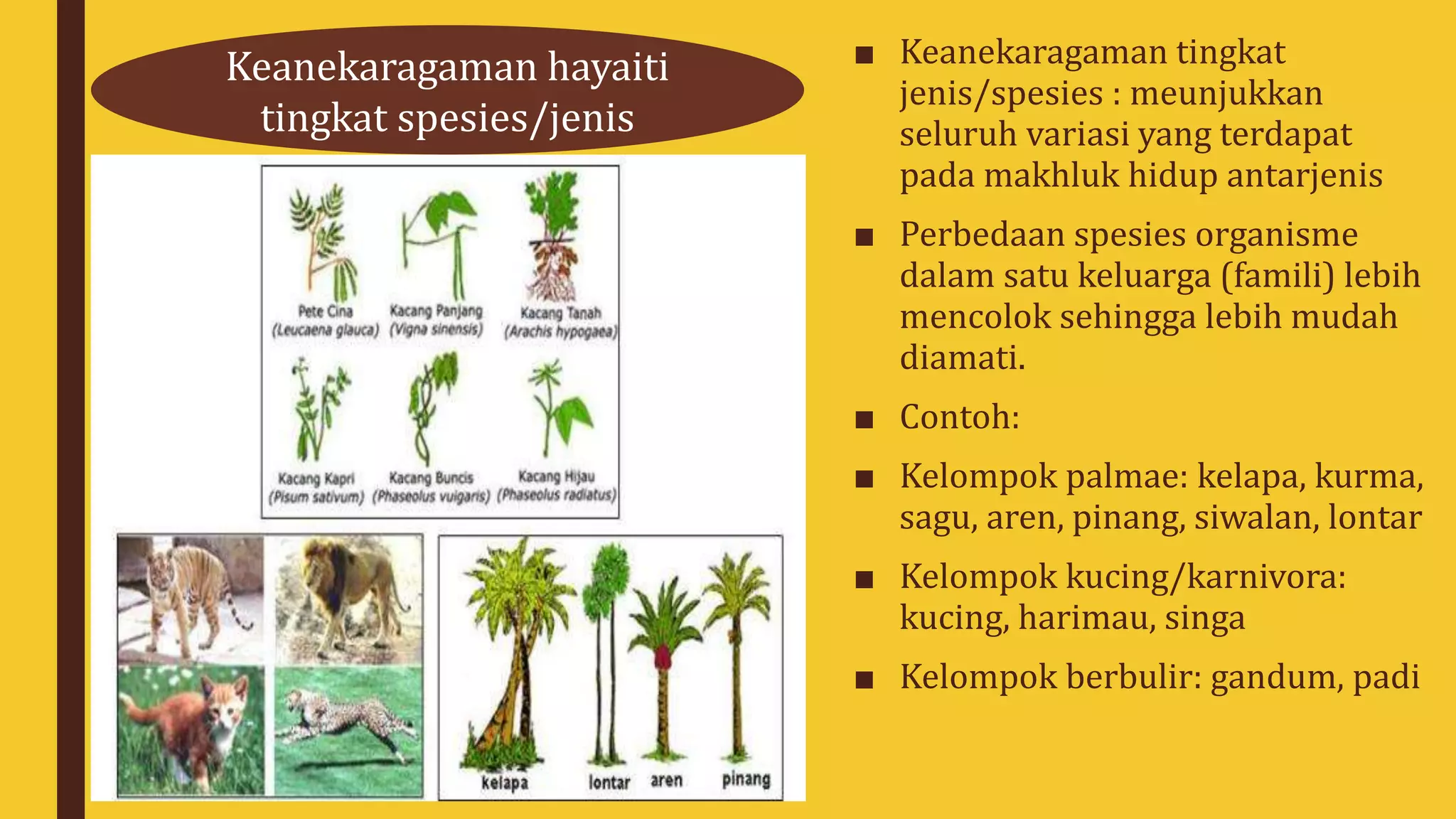 Keanekaragaman Hayati di Indonesia.pptx
