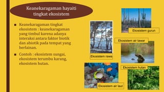 Keanekaragaman Hayati di Indonesia.pptx