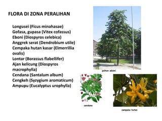 Keanekaragaman hayati indonesia | PPTX