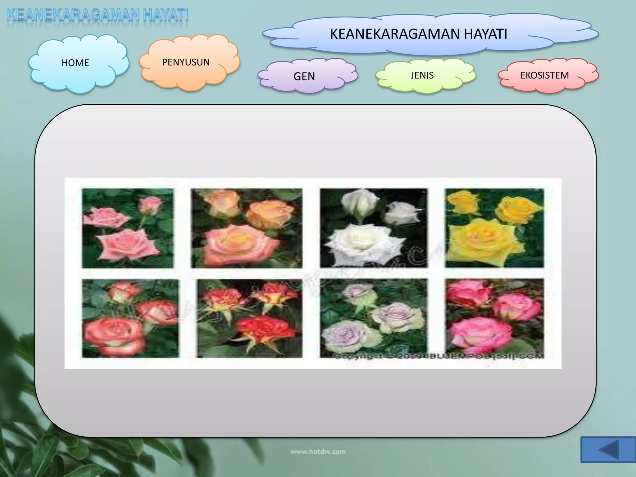 Keanekaragaman hayati tingkat gen, jenis, dan ekosistem | PPTX