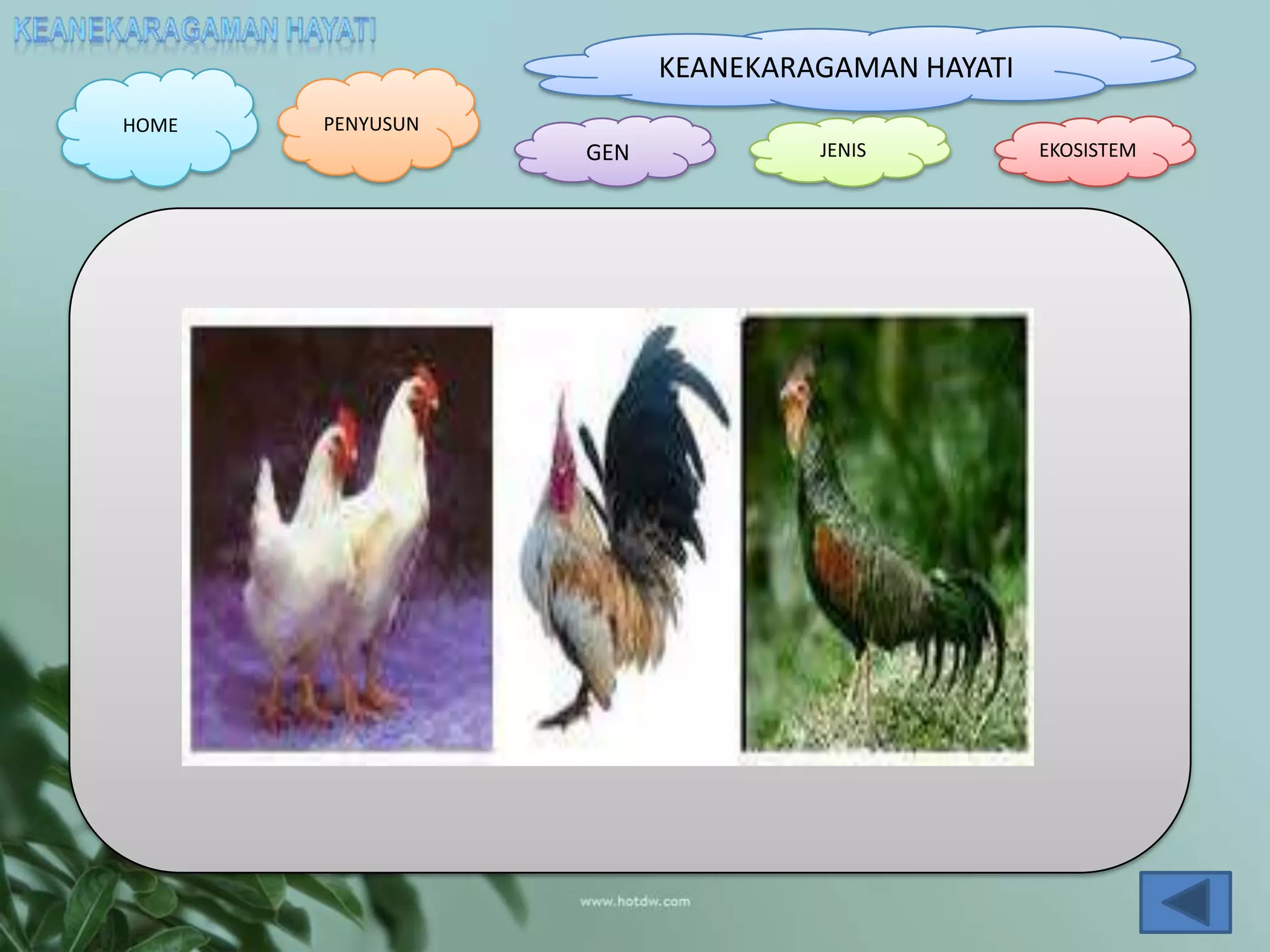 Keanekaragaman hayati tingkat gen, jenis, dan ekosistem | PPTX