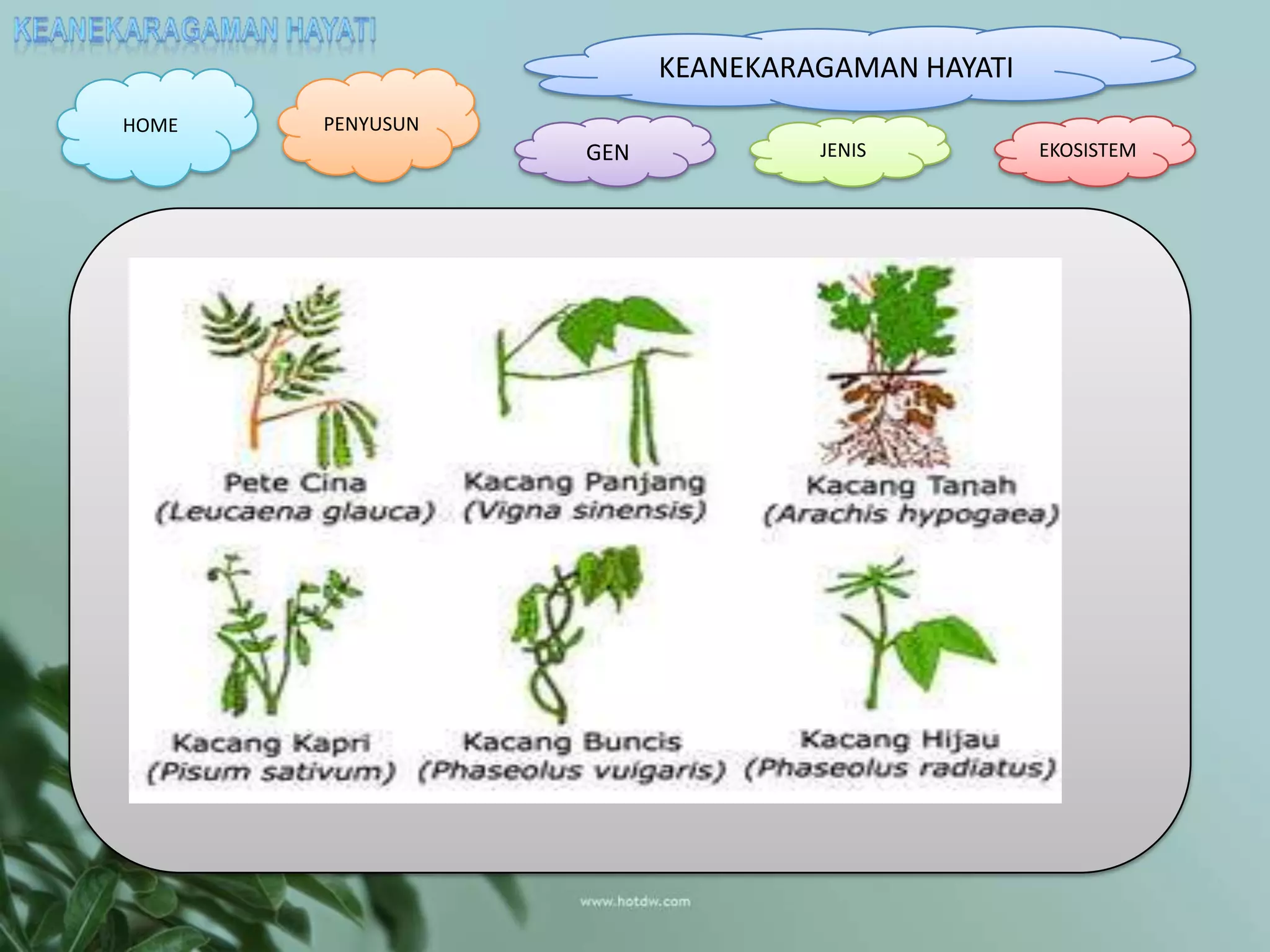Keanekaragaman hayati tingkat gen, jenis, dan ekosistem | PPTX