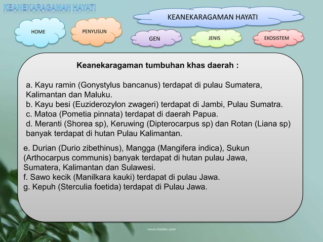 Keanekaragaman hayati tingkat gen, jenis, dan ekosistem | PPTX
