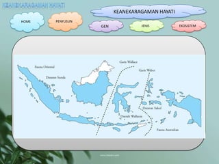 Keanekaragaman hayati tingkat gen, jenis, dan ekosistem | PPTX