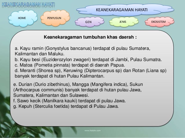 Keanekaragaman Hayati Tingkat Gen Jenis Dan Ekosistem
