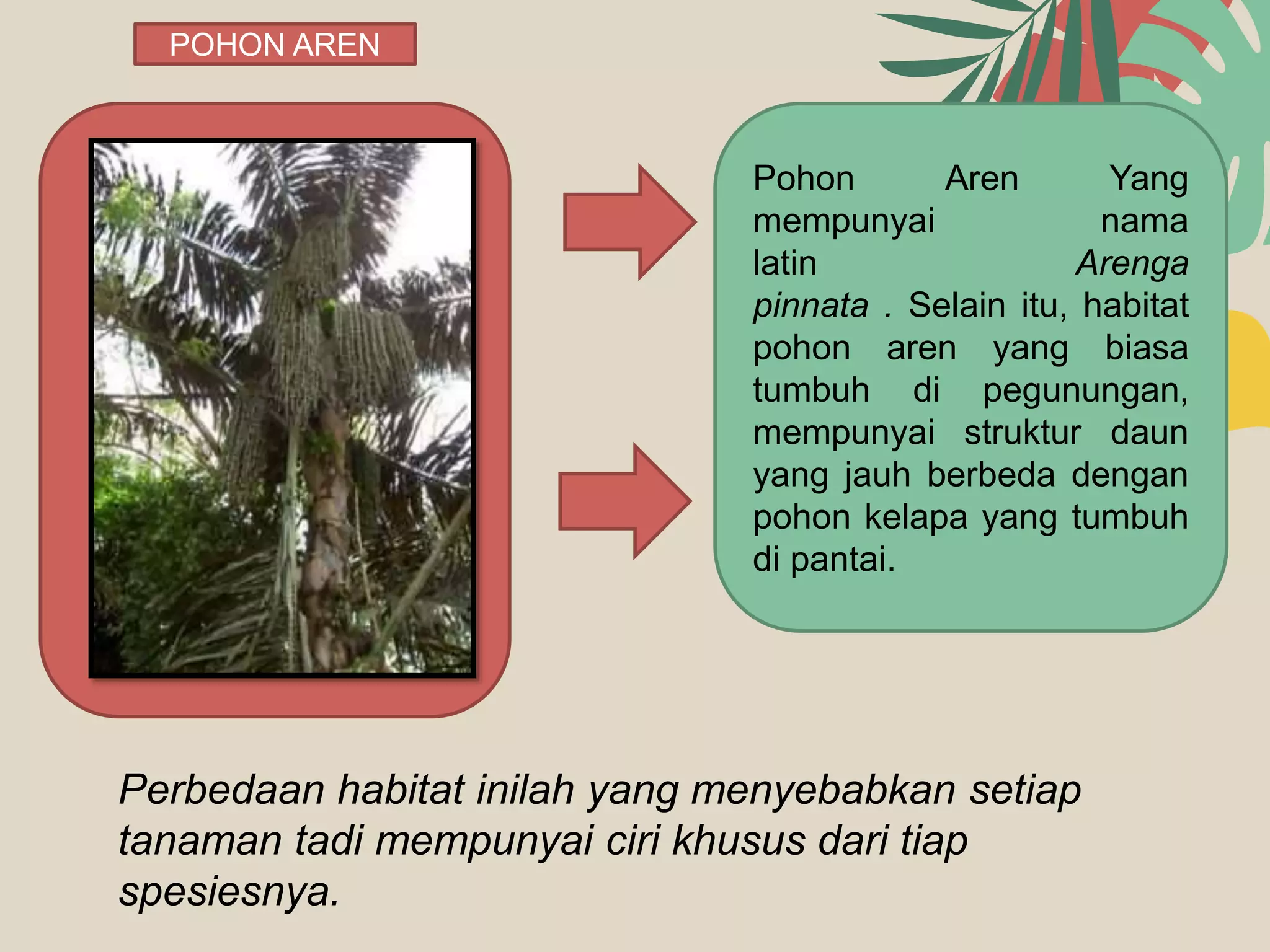 Keanekaragaman Makhluk Hidup.pptx