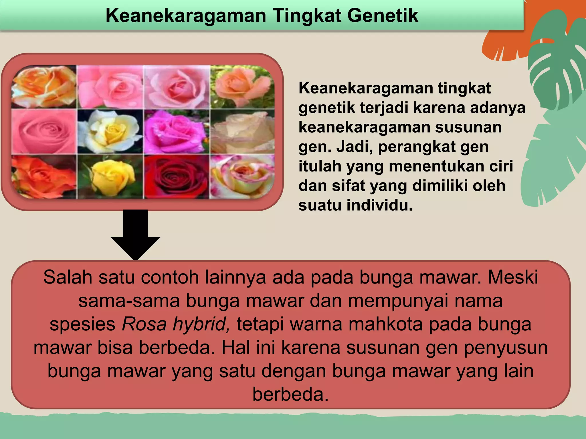 Keanekaragaman Makhluk Hidup.pptx