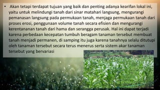 Kearifan lokal dalam bidang pertanian | PPTX