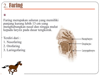 pemenuhan kebutuhan dasar oksigenasi keb.oksigenasi.ppt