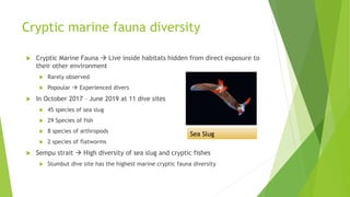 Keberagaman Cryptic Spesies di Perairan Indo Pasifik.pptx