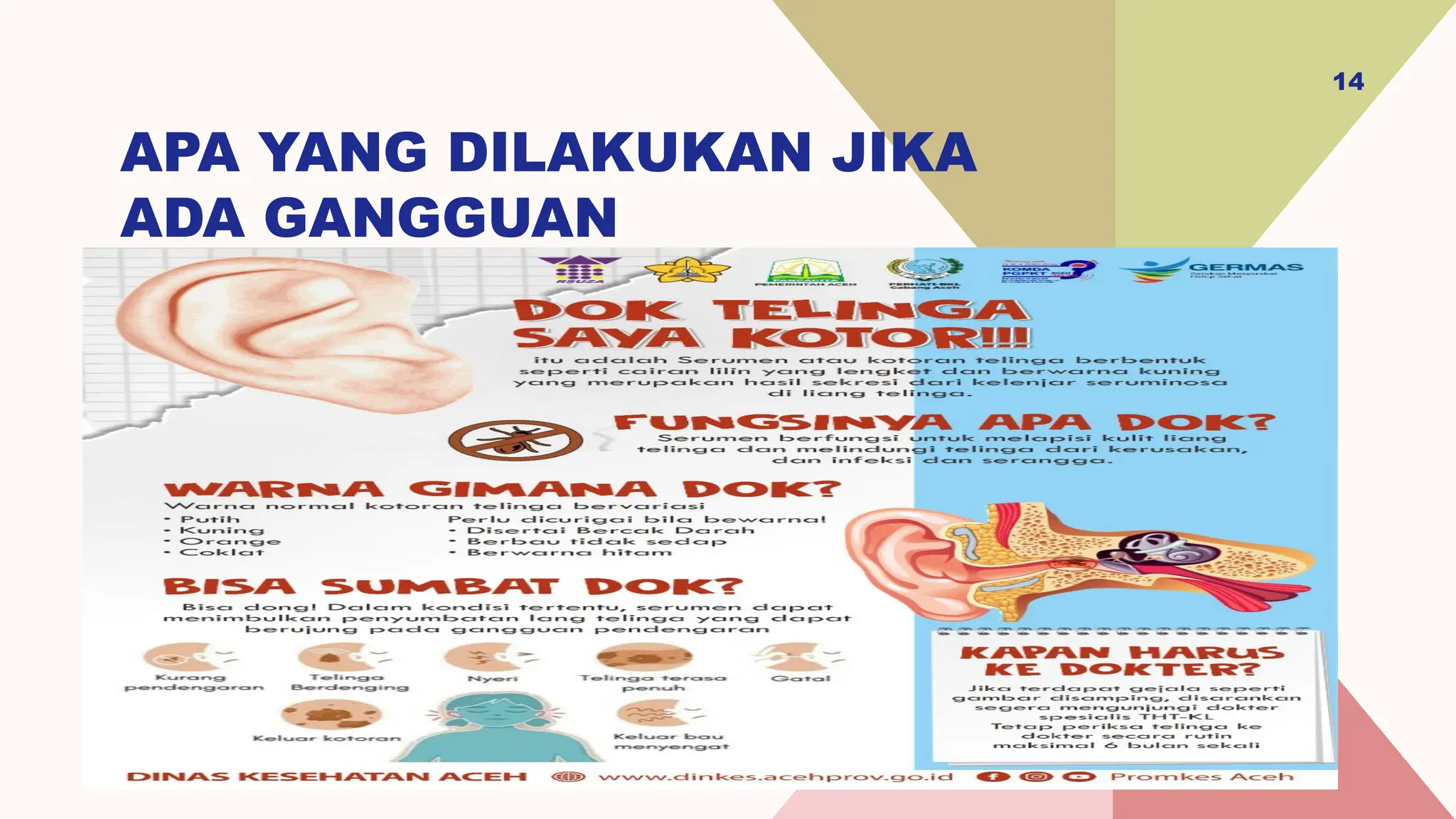 Cara Menjaga dan Pentingnya Kebersihan Telinga.pptx