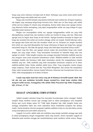 Kebesaran Allah Di Segenap Penjuru Alam | PDF
