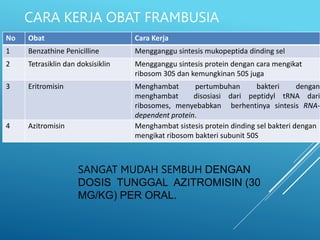 KEBIJAKAN, DIAGNOSA & TATALAKSANA FRAMBUSIA.ppt