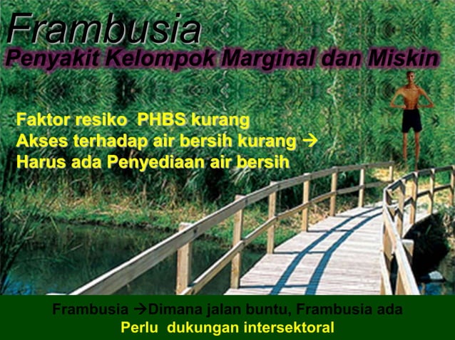 KEBIJAKAN, DIAGNOSA & TATALAKSANA FRAMBUSIA.ppt