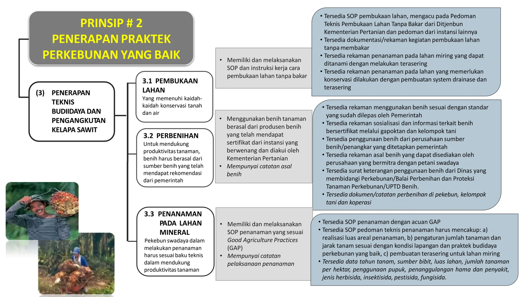 Kebijakan Indonesian Sustainable Palm Oil Pekebun 28082023.pptx