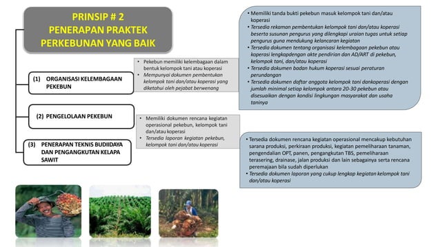 Kebijakan Indonesian Sustainable Palm Oil Pekebun 28082023.pptx
