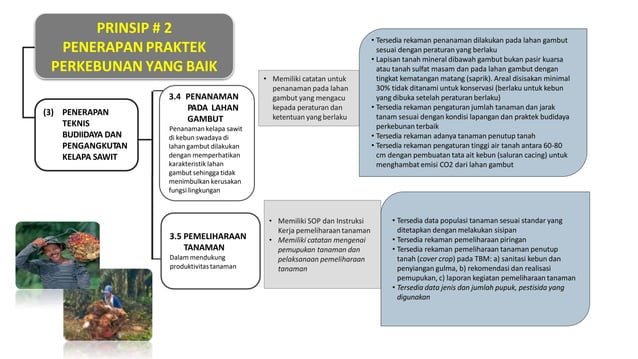 Kebijakan Indonesian Sustainable Palm Oil Pekebun 28082023.pptx