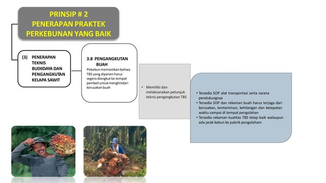 Kebijakan Indonesian Sustainable Palm Oil Pekebun 28082023.pptx