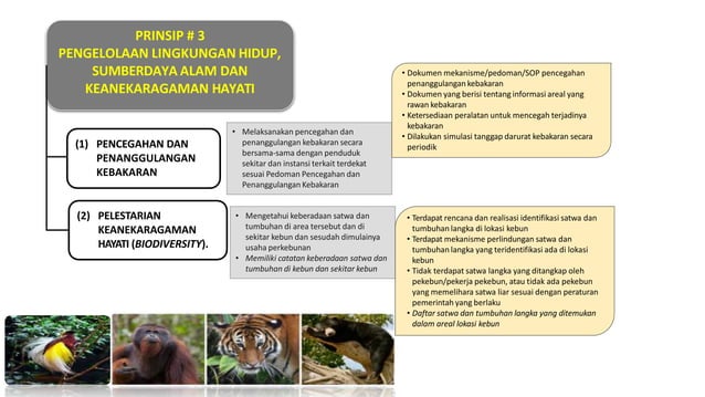 Kebijakan Indonesian Sustainable Palm Oil Pekebun 28082023.pptx