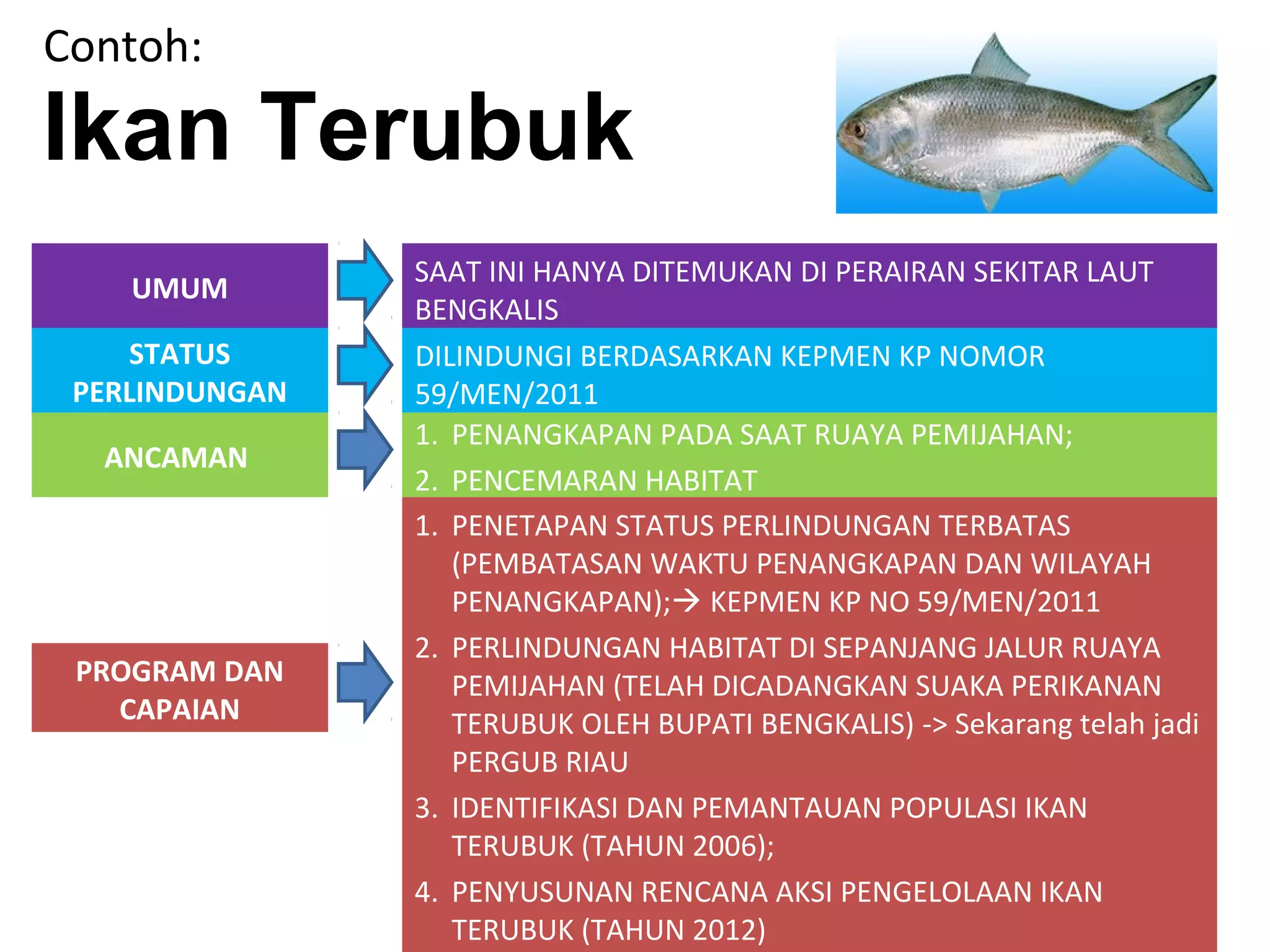 Kebijakan Konservasi Jenis Ikan | PPT