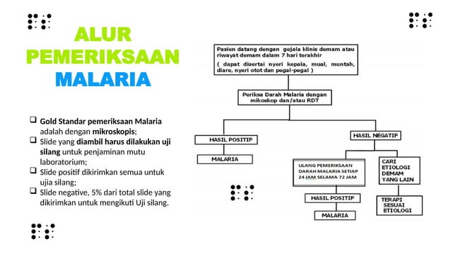 Kebijakan Program Malaria Pada Tahap Pemeliharaan.pptx
