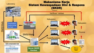 kebijakan nasional pelaksnaaan skdr kabj | PPT