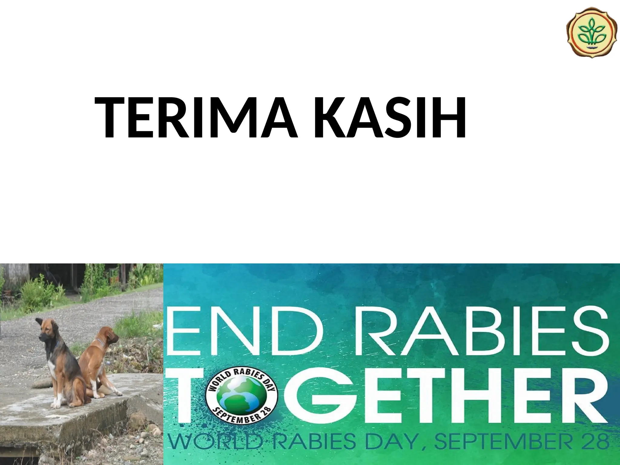 Kebijakan Pengendalian dan Penanggulangan Rabies di Indonesia 2015 | PPT