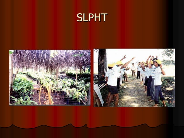 KEBIJAKAN_PERLINDUNGAN_TANAMAN.ppt