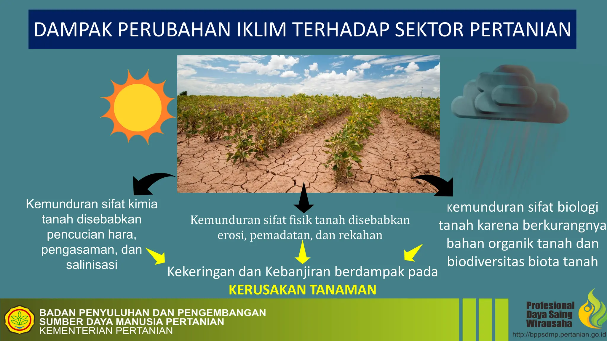 Kebijakan Perubahan Iklim dan Kebijakan di Tingkat Nasional dan ...