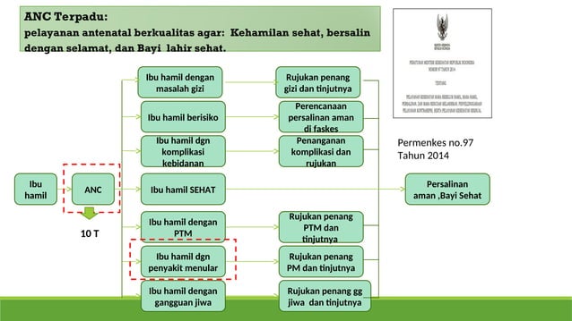 Kebijakan triple eliminasi-revisi_084052.ppt