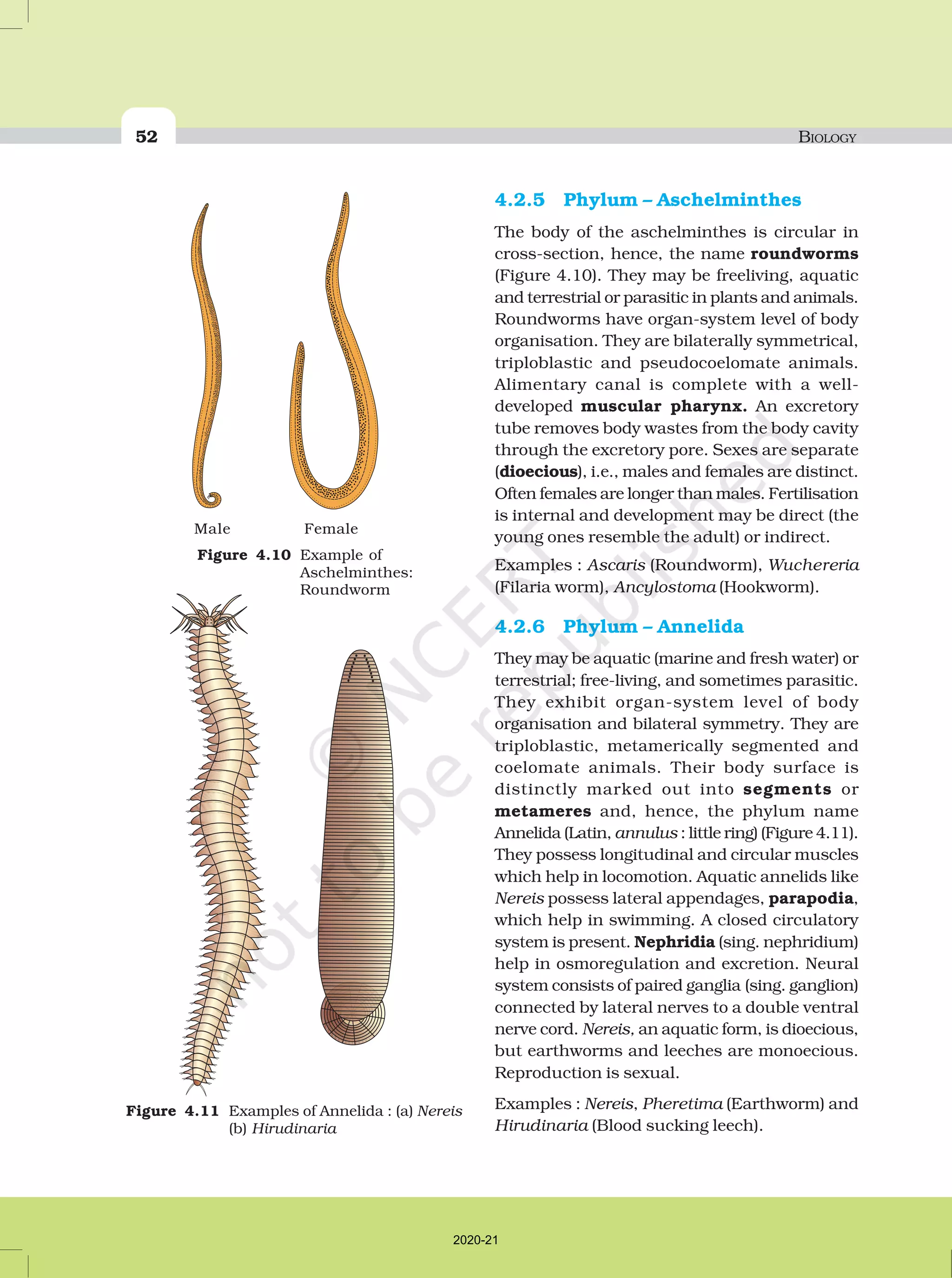 Chapter- 4 Animal kingdom | PDF