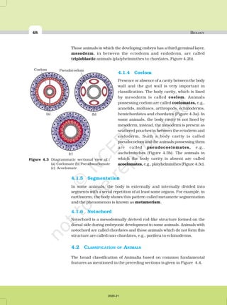 Chapter- 4 Animal kingdom | PDF