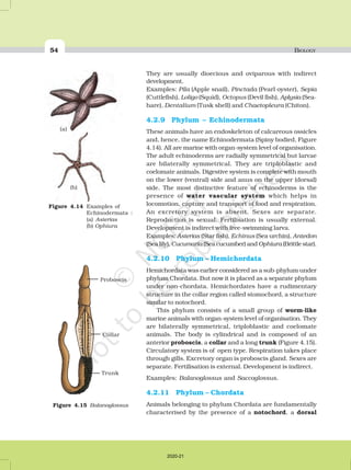 Chapter- 4 Animal kingdom | PDF