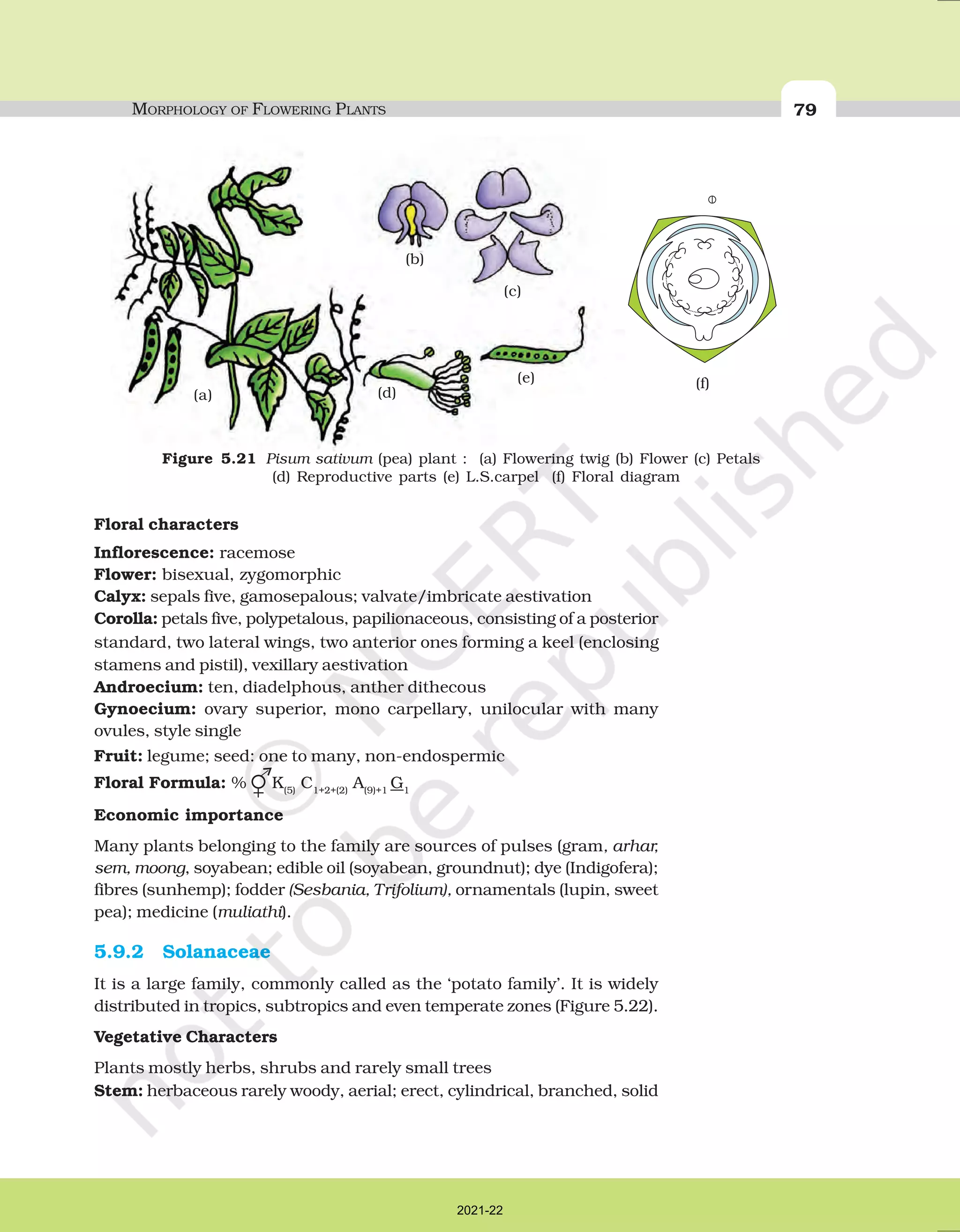 MORPHOLOGY OF FLOWERING PLANTS | PDF