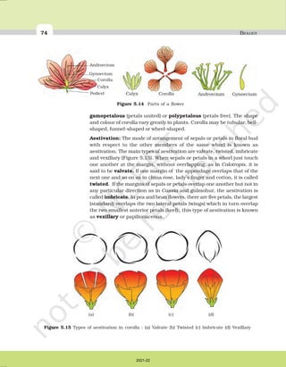 MORPHOLOGY OF FLOWERING PLANTS | PDF