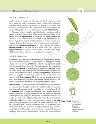 MORPHOLOGY OF FLOWERING PLANTS | PDF