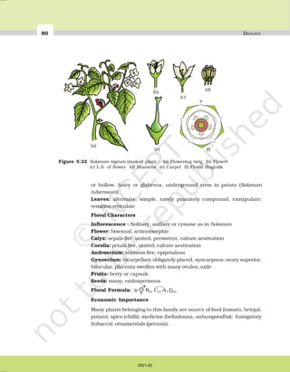 MORPHOLOGY OF FLOWERING PLANTS | PDF