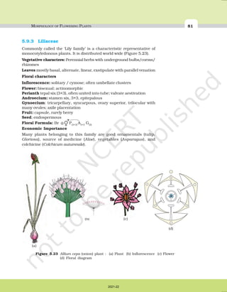MORPHOLOGY OF FLOWERING PLANTS | PDF