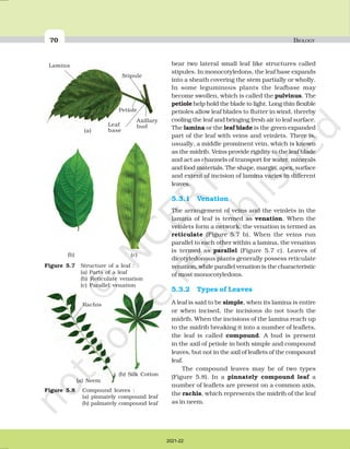 MORPHOLOGY OF FLOWERING PLANTS | PDF