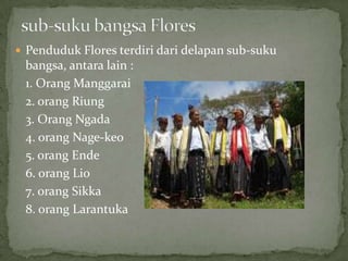 Kebudayaan flores | PPTX