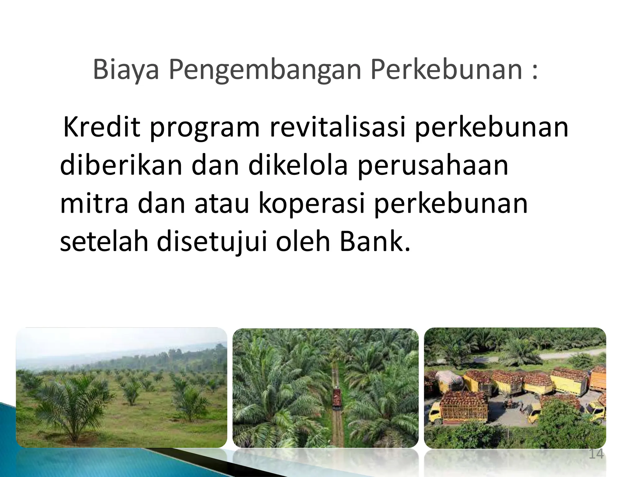 kebunplasmapolakemitraan-ppt.pptx