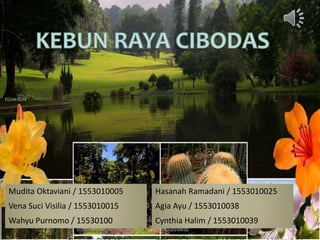 Area Lansekap, Hutan dan Padang Rumput Kebun Raya Cibodas | PPTX