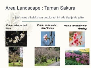 Area Lansekap, Hutan dan Padang Rumput Kebun Raya Cibodas | PPTX